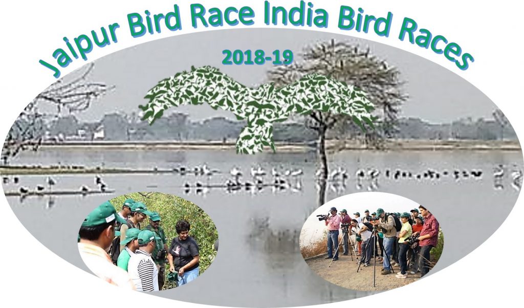 Jaipur Bird Race India Bird Races 2018-19 – Watch Birds… Learn From ...