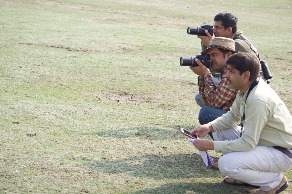 Jaipur Bird Race India Bird Race #4 Jaipur – 126 Species Spotted, Team ...